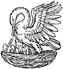 CARIBBEAN CATHOLIC: Jesus the pelican