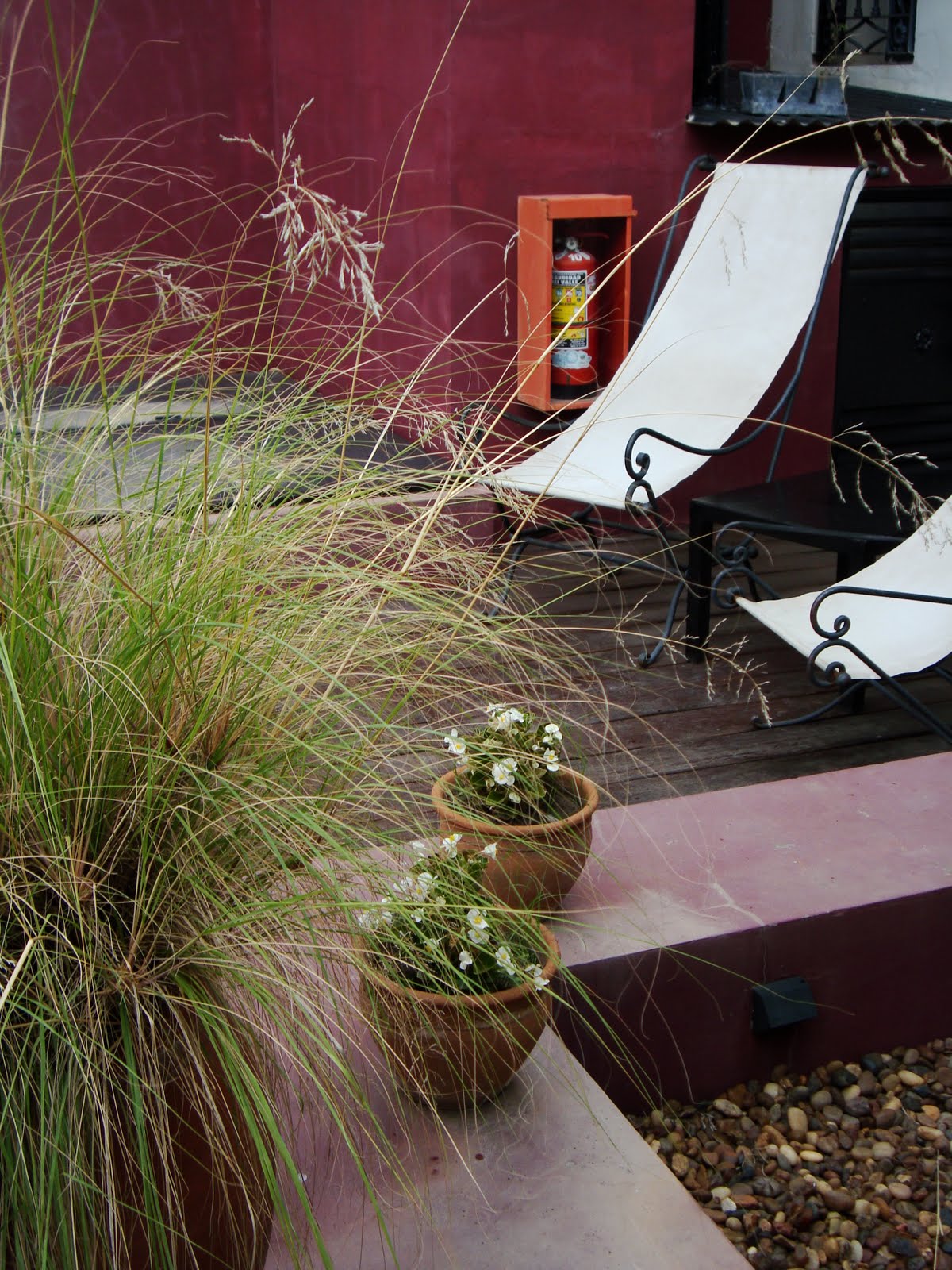 Diario de la Azucena: El Patio de Moreno