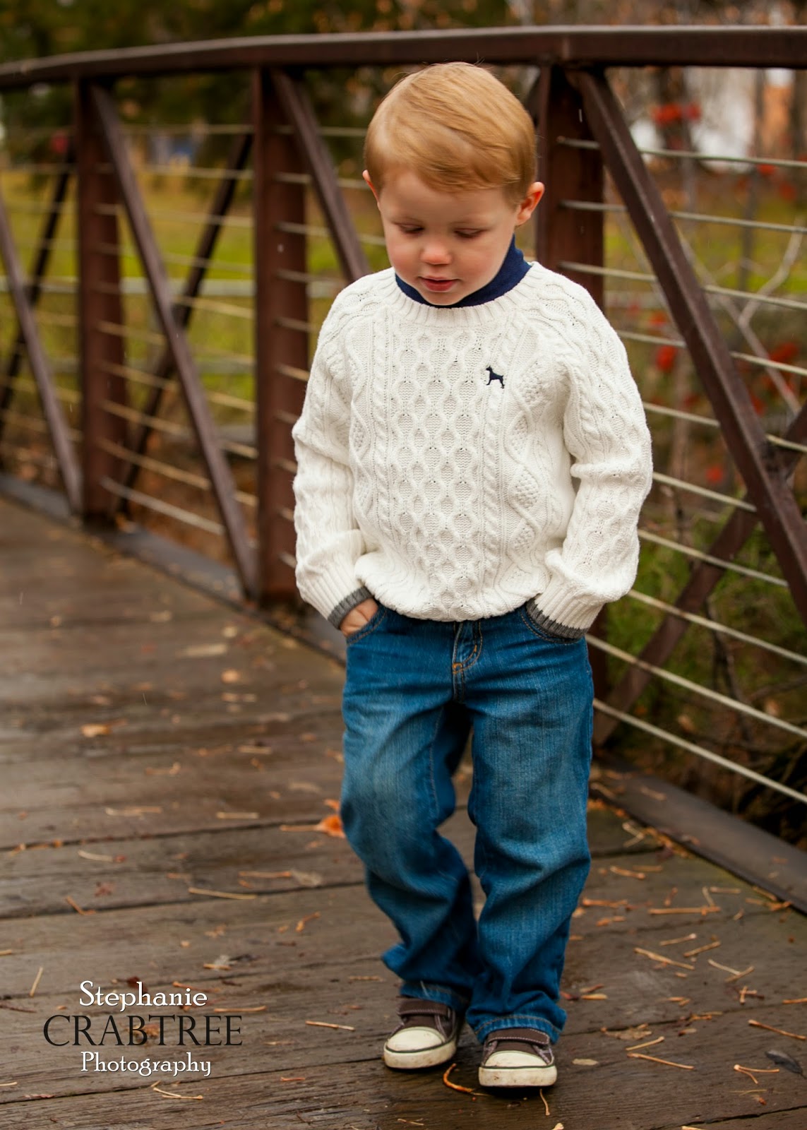 Stephanie Crabtree Photography