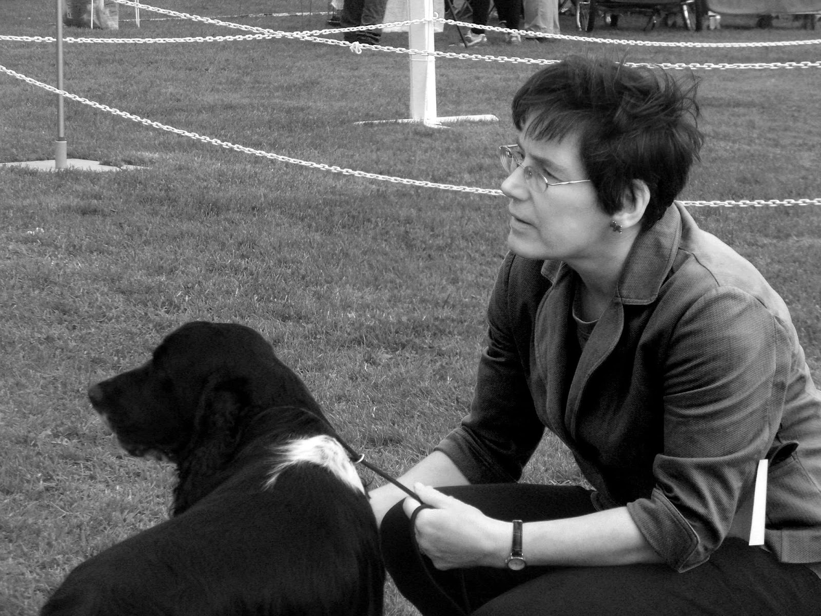 The In-Between: Limerick Dog Show, 2015