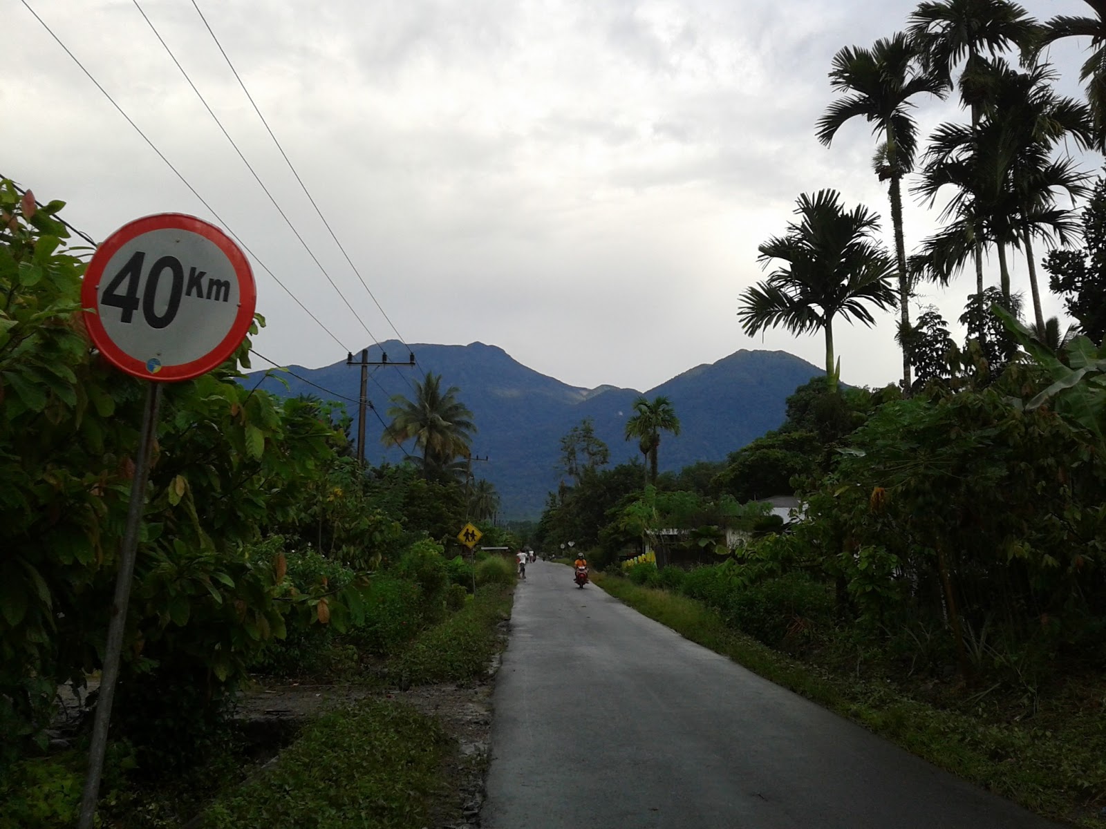 REFERENSI GUNUNG PASAMAN MPALH UNP: Jalur gunung pasaman MPALH UNP 2013