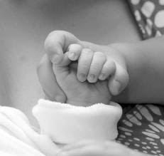 PURPLE SAGE ORIGINALS: Peter Rabbit and Friends Quilts