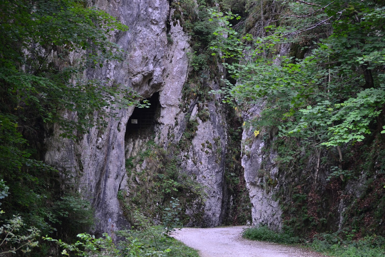 Aer de Romania: Magura - Cheile Zarnesti - Curmatura