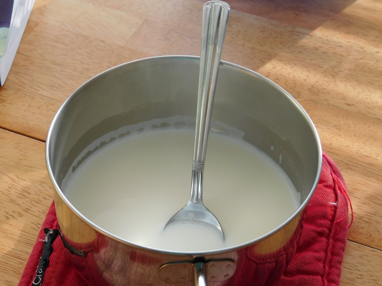 100 Days of Science #13-- Making Plastic From Milk