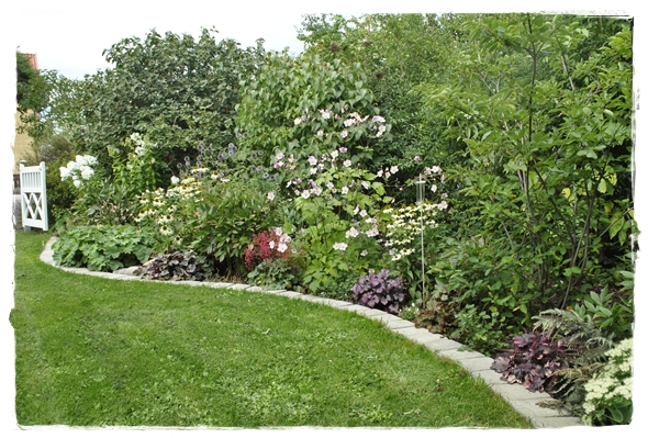 Rosor och ruiner: Min långa rabatt