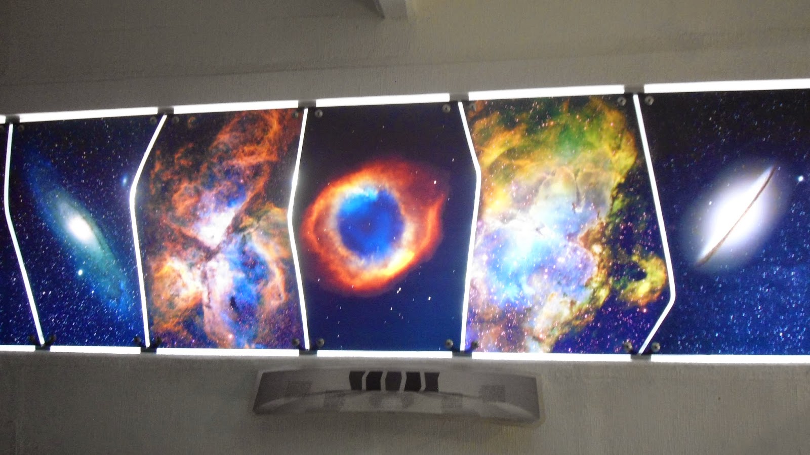 museos del D.F: UNIVERSUM "MUSEO DE LA CIENCIA"