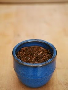 The Emperor And The Seed | English Reader