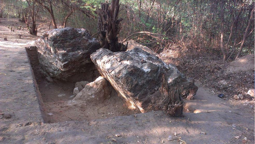 Tamilnadu Tourism: Fort Geldria, Pulicat, Thiruvallur