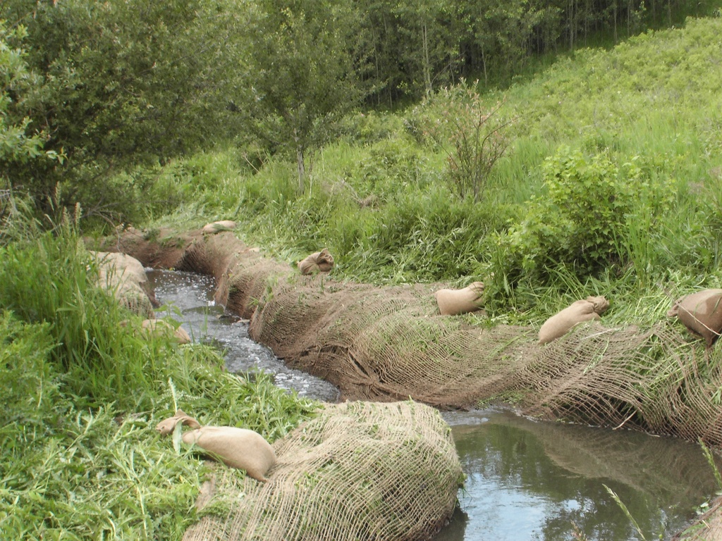 GEO-JUTE / JUTE SOIL SAVER ~ JUTEXS World