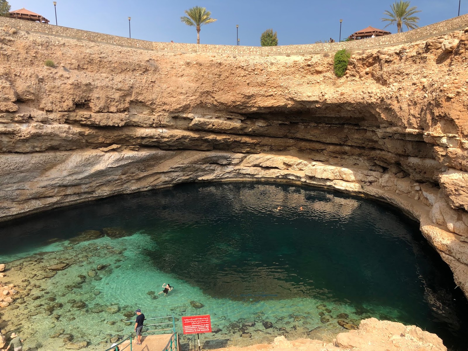 Adela Tarpan: Wadi Wadi Wadi