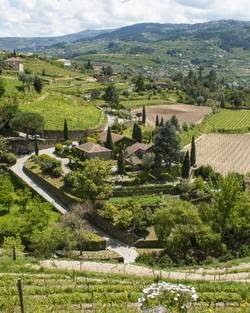 QUINTA de COVELA - von Vinho Verde bis Douro