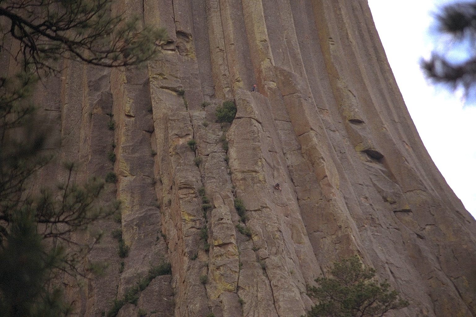 Theories of formation Devil Tower ~ Cliffs & Canyon