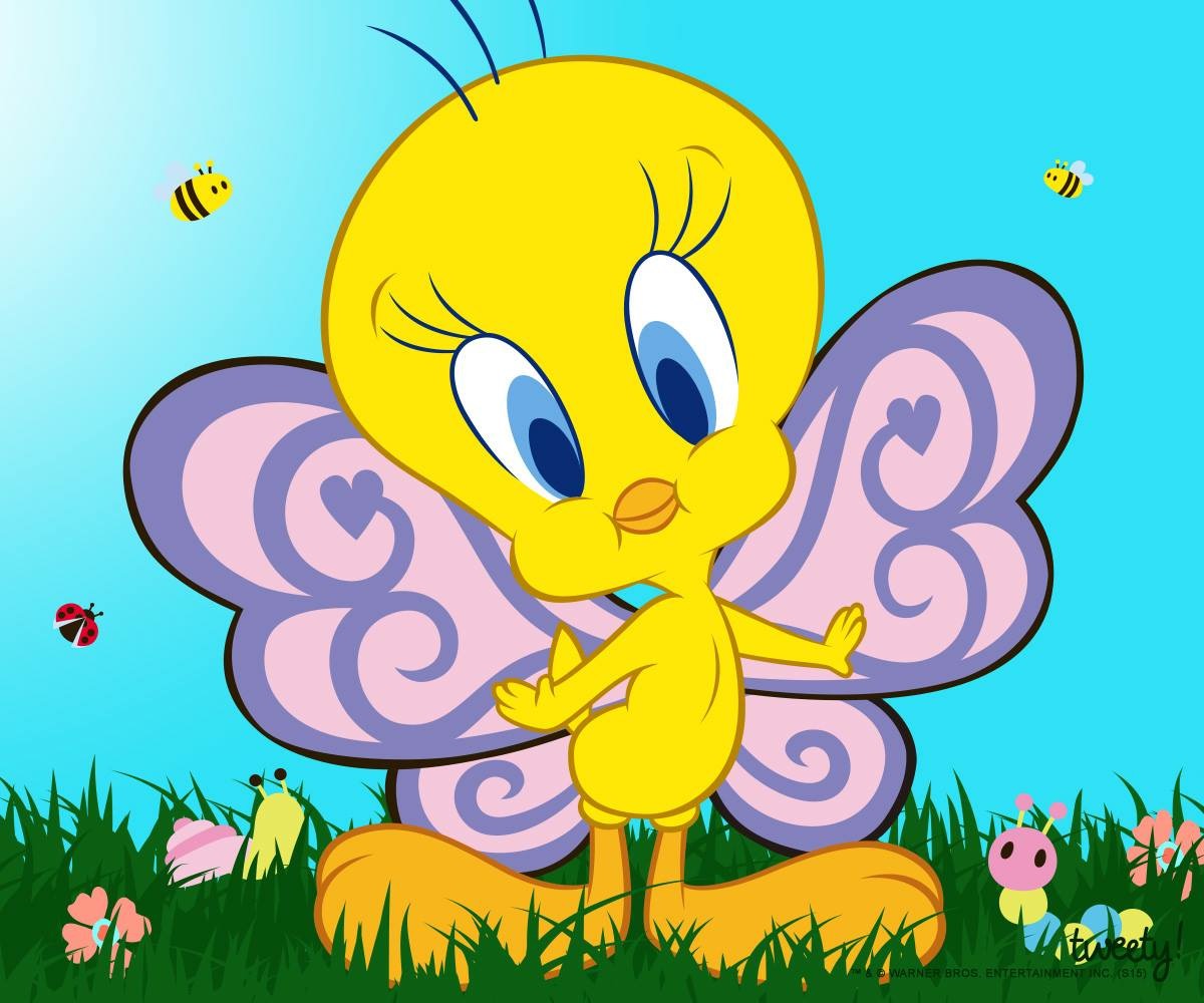 TWEETY Photos - Wallpapers (ανανεωμένο) | the fun bank