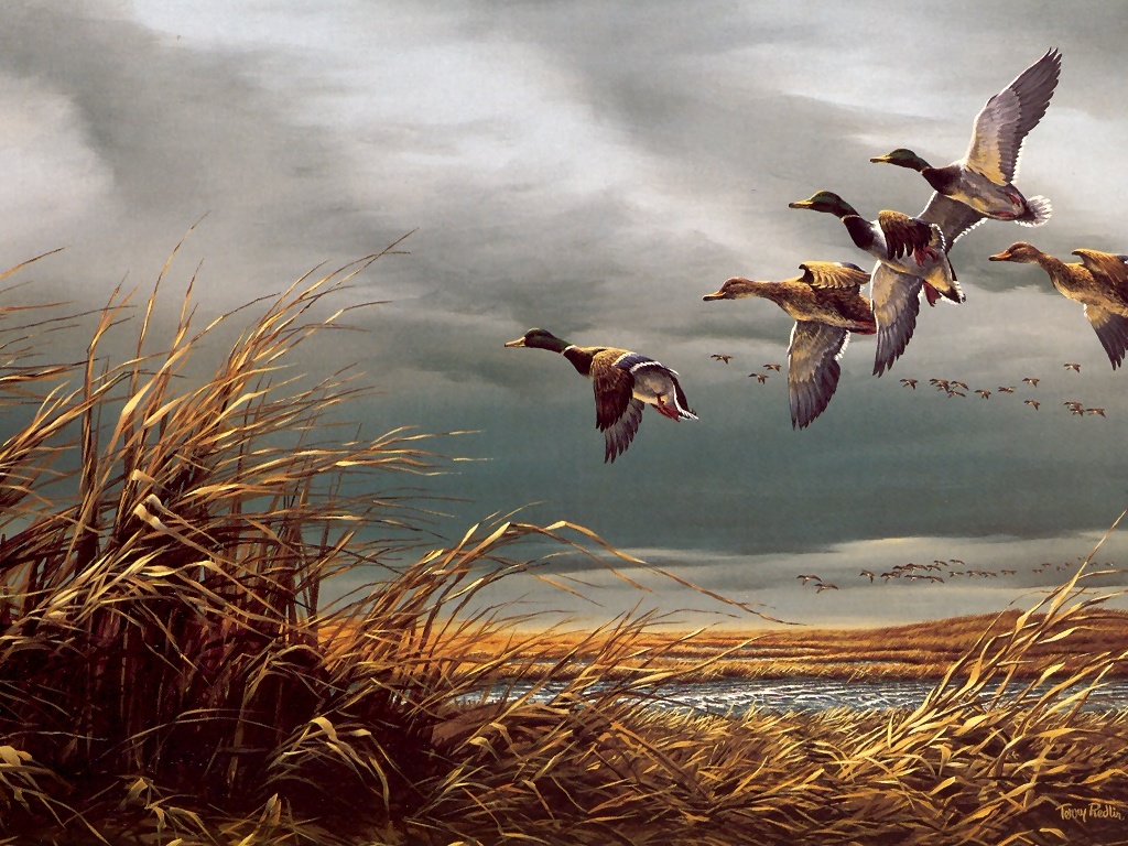 Terry Redlin Art ~ Desktop Wallpapers