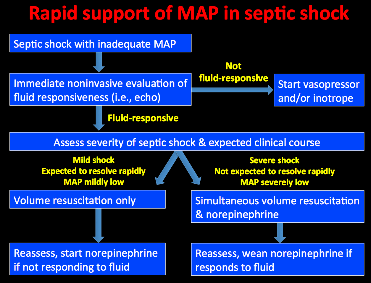 Early norepinephrine to stabilize MAP in septic shock
