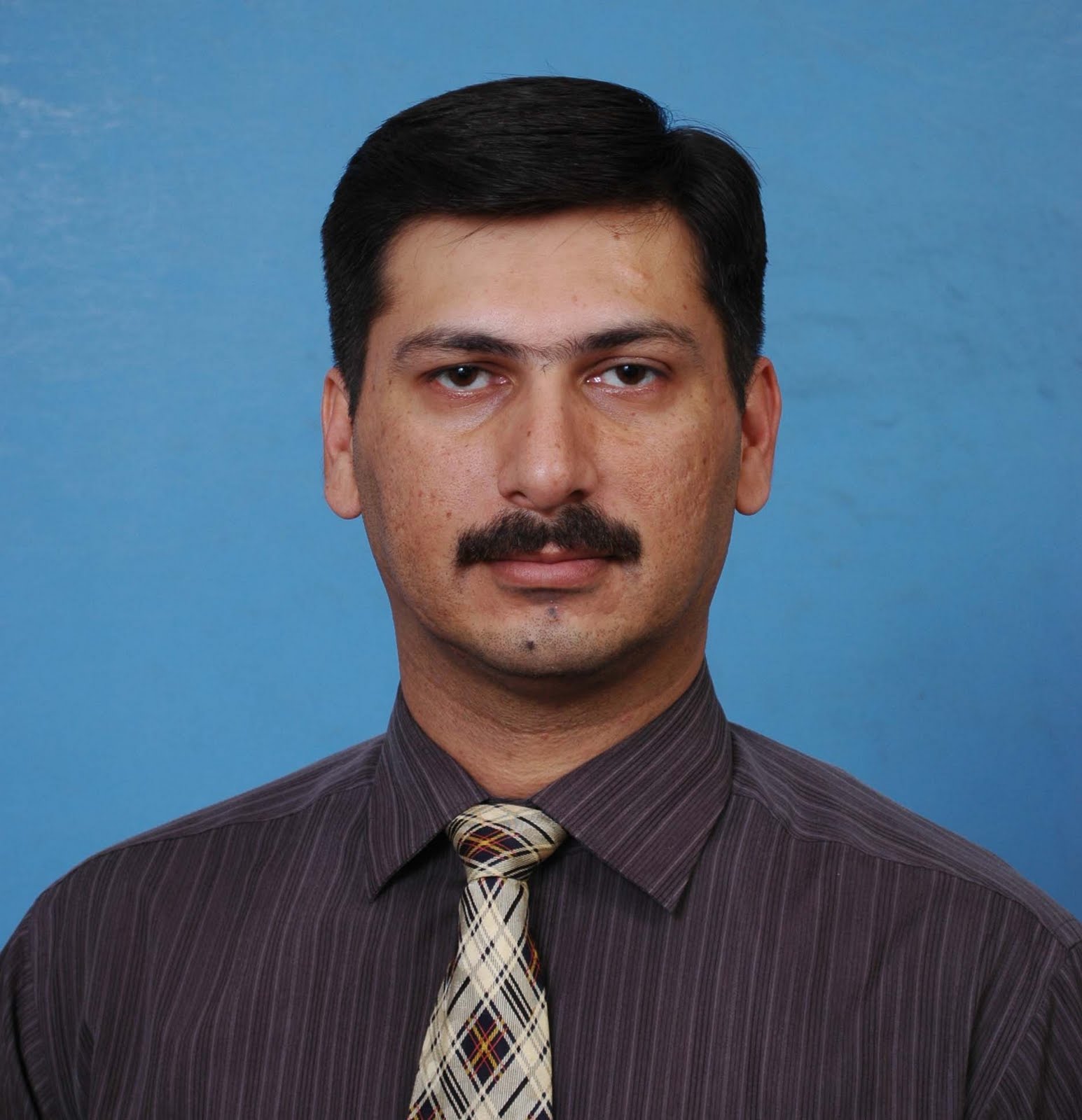 PROFESSIONAL PROFILE: Ali Raza Shah - CV