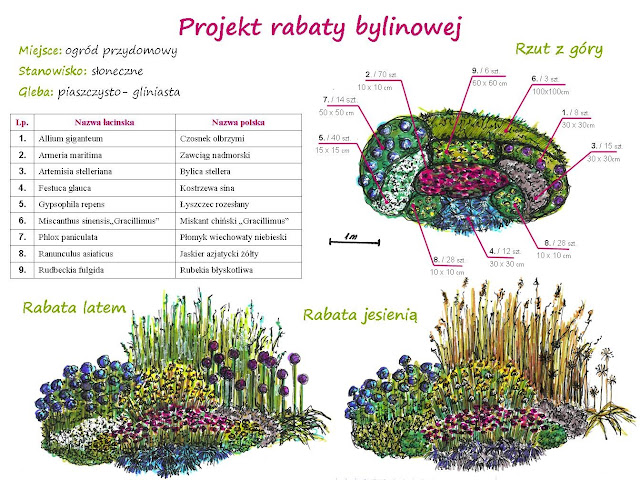 wymyśl-wymaluj: Projekt rabaty bylinowej