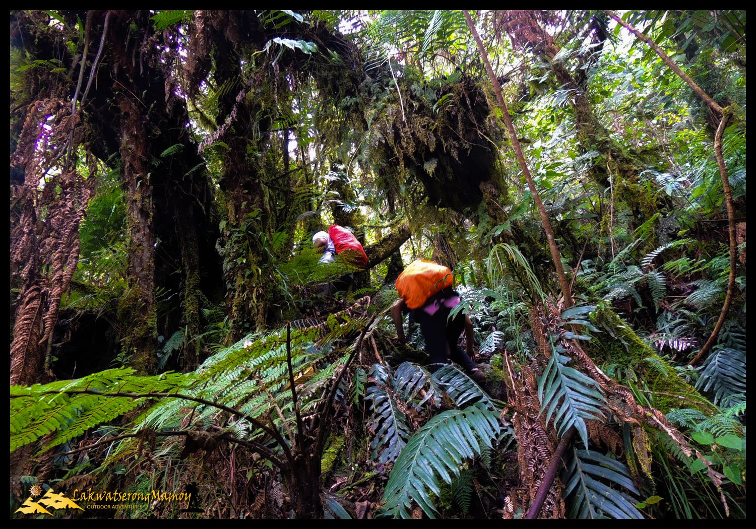 One Tough Experience Climbing Mt. Matutum ~ Lakwatserong Mamoy