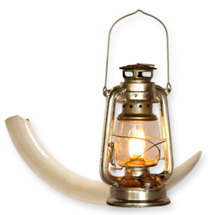 The African Light: AFRICA