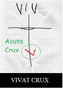 Fin des Voies Rapides: Crucifixion the Bodily Support – The Acuta Crux ...