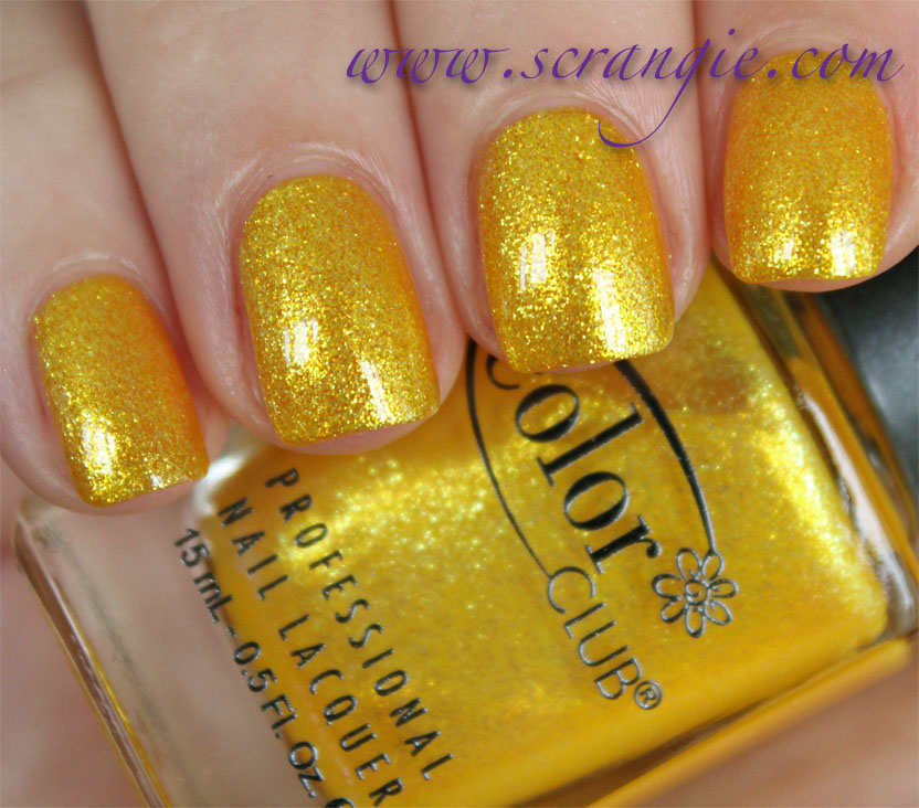 Scrangie: Color Club Take Wing Collection Summer 2012 Swatches and Review