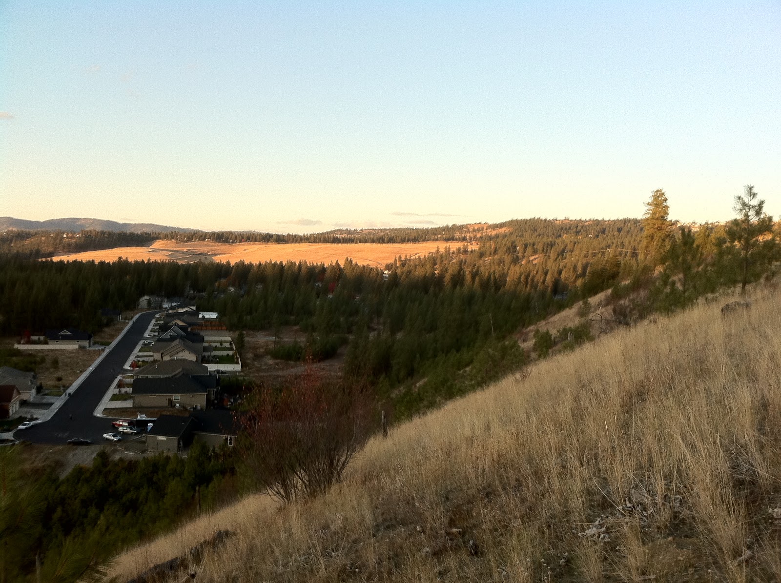 Wileydog Cycle: In Search of the Dwight Merkel trail to Riverside State ...