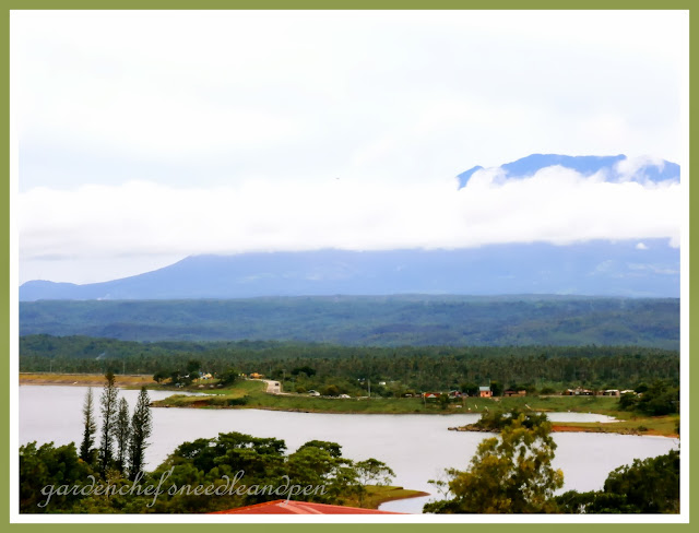Garden Chef's Needle and Pen: Beholding the Beauty of Nature at Caliraya