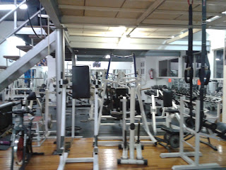 Ciencia: Delfines Gym