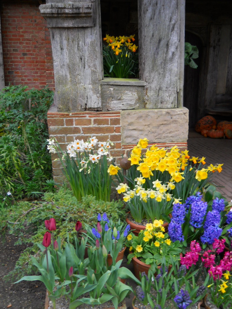 Anemone Times: The Shapes (and Colors) of Great Dixter