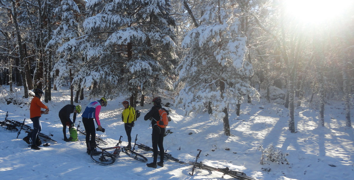 El Sherpa Loco: Más fresquitos que Walt Disney