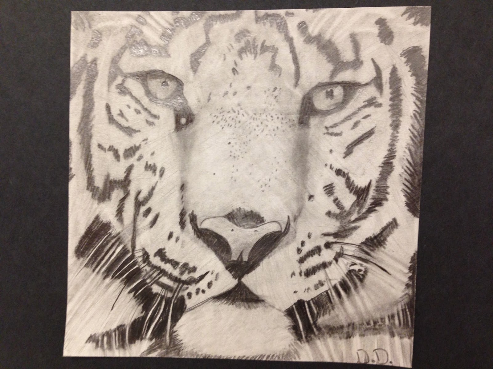 Art Alley: Drawing Rendering: 7th Graders Learn to See