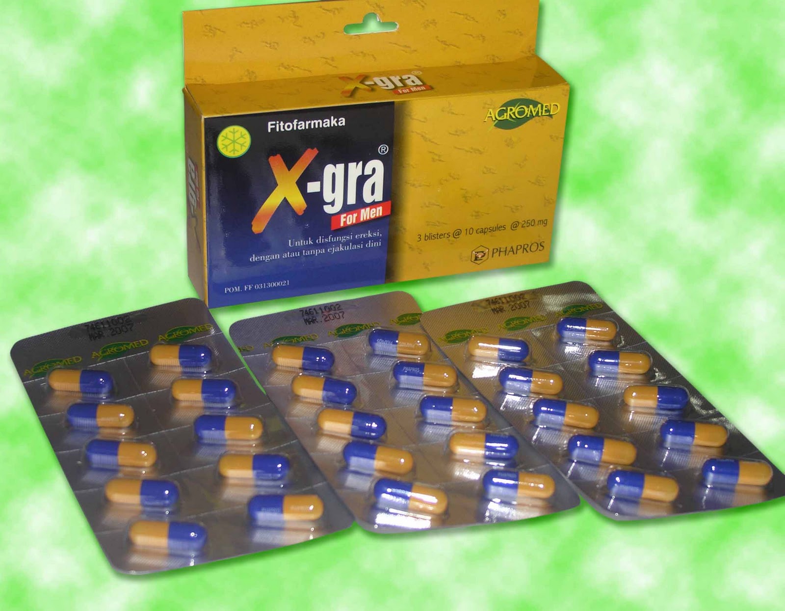 JAMU GODOG KENDHIL KENCANA: FITOFARMAKA 1 (Phytopharmaca/Phytopharmacy ...
