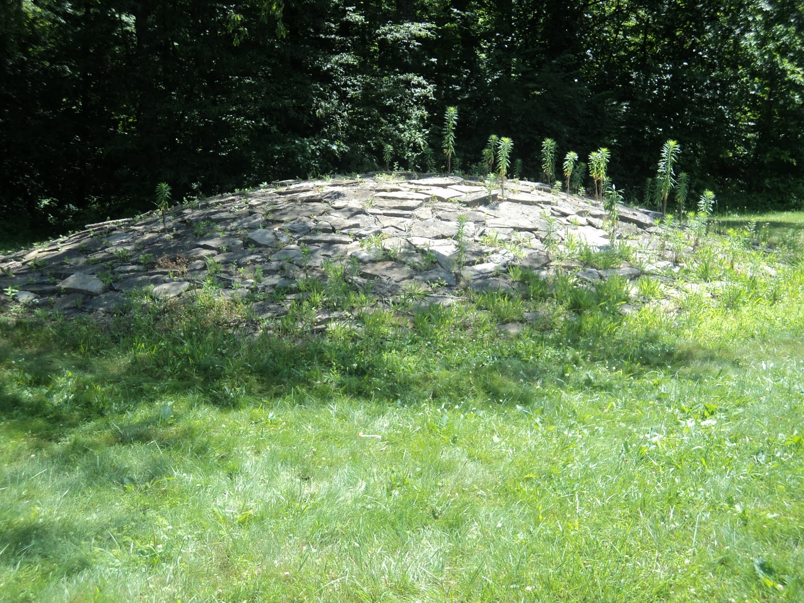 French Vocabulary Illustrated: tertre