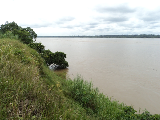 Fotos - Situação atual do rio Solimões