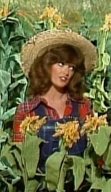 Captain Dan's Blog: September 2013