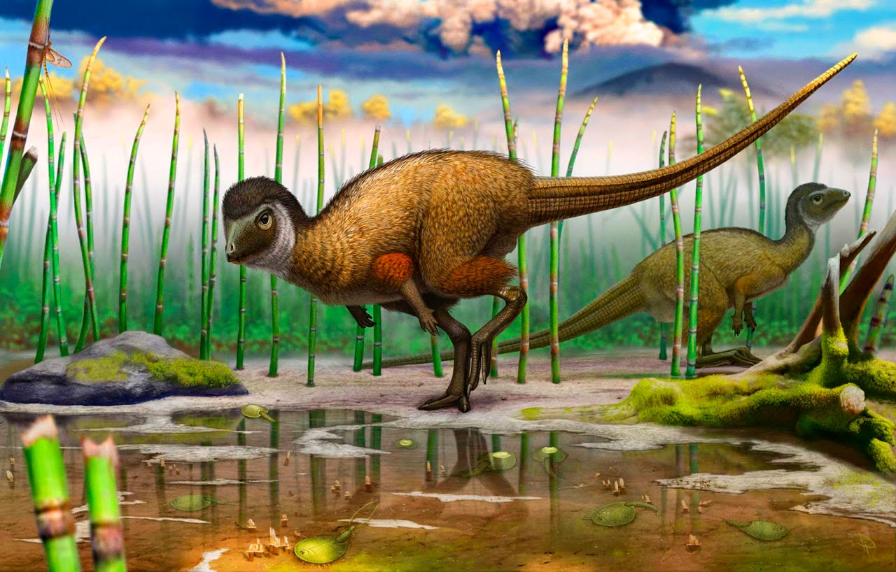Palaeos, la historia de la Vida en la Tierra: Las plumas del dinosaurio