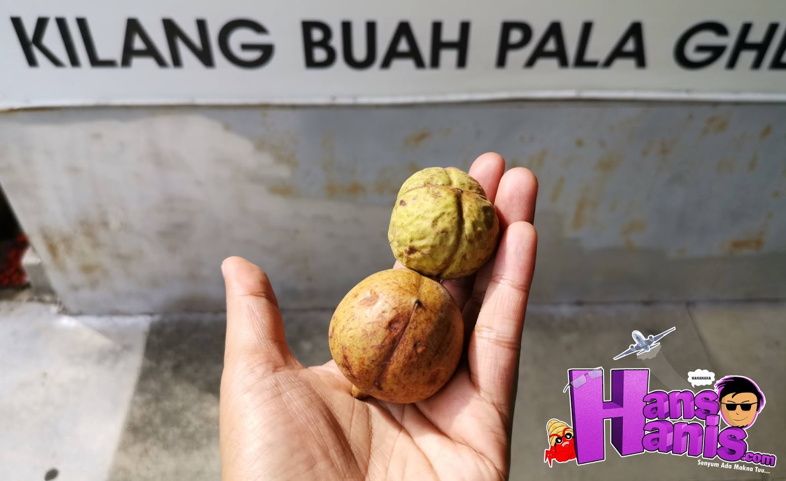 Jom Singgah Kilang Buah Pala Ghee Hup Balik Pulau