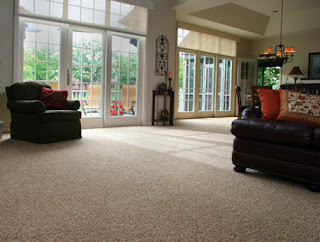 shaw carpet: Frieze carpet