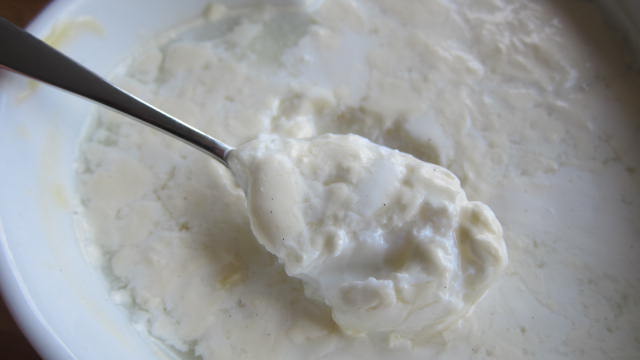 Dalmatian Mom: Hemmagjord filbunke