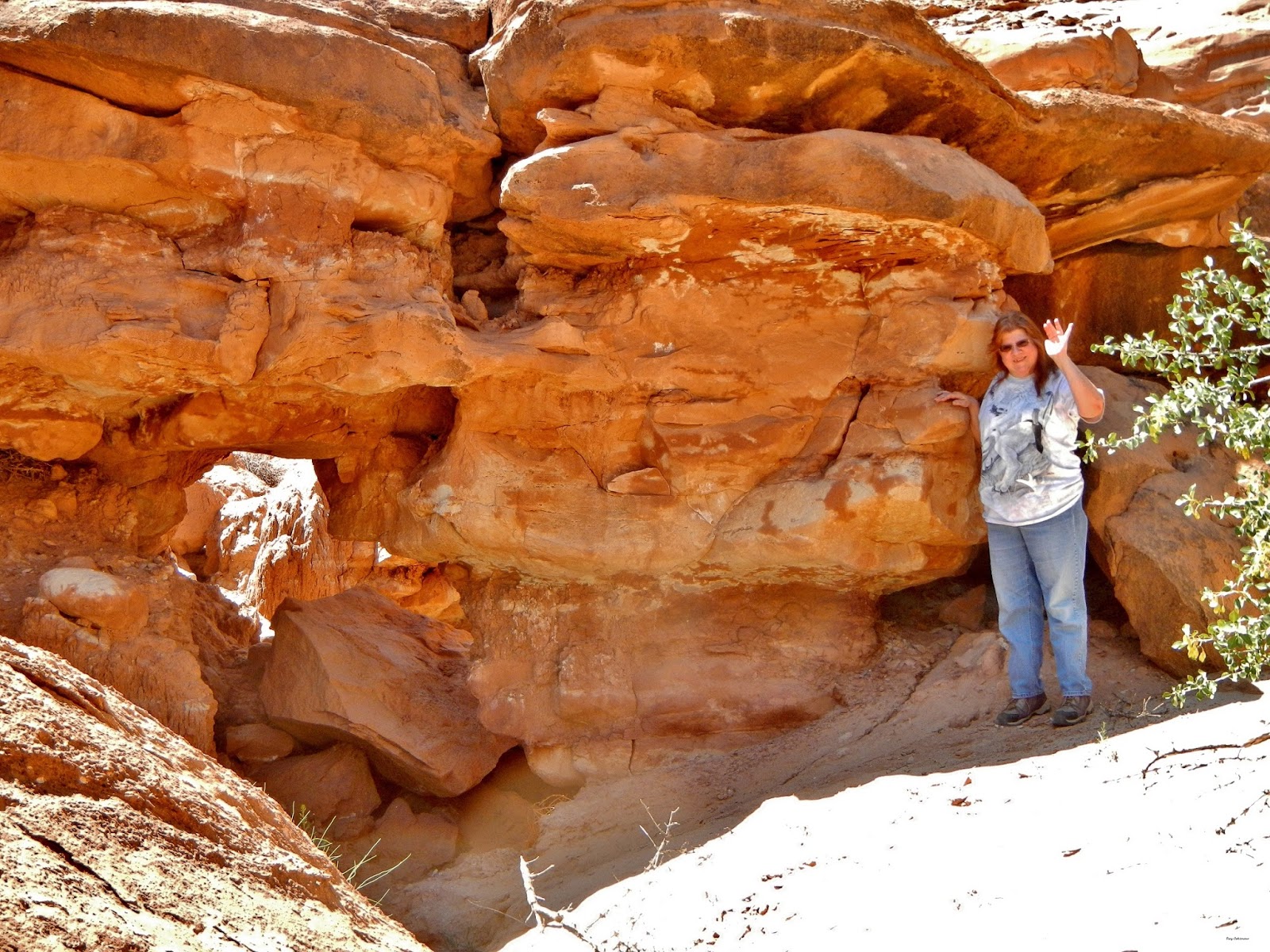 The Southwest Through Wide Brown Eyes: Recapture Pocket, a Hoodoo ...