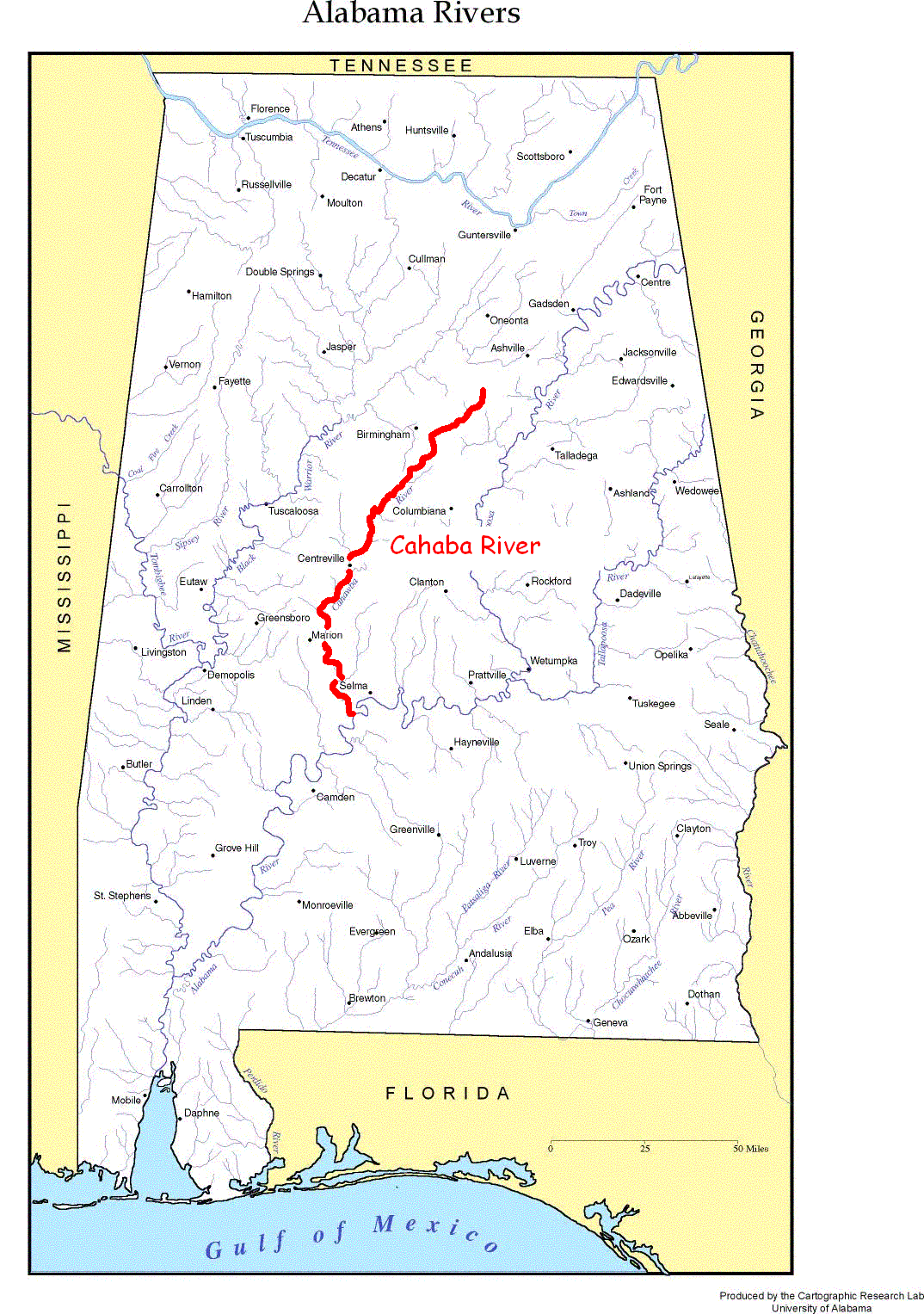 Don't Get Hotter, Drink Some Water