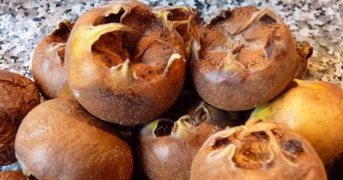 French Vocabulary Illustrated: nèfle