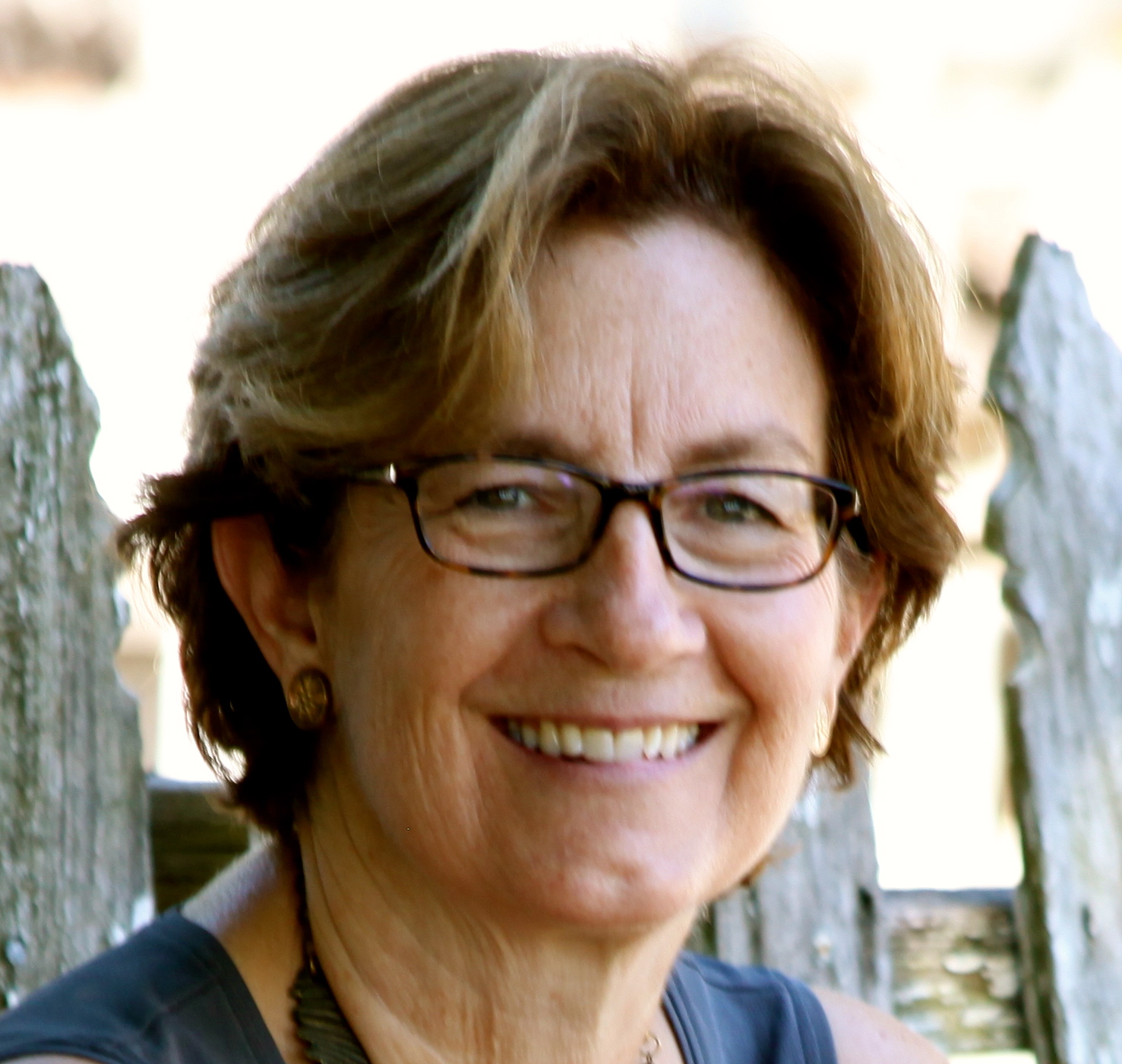 Fabulous Florida Writers: A Little History in Your Mystery? - A Guest ...