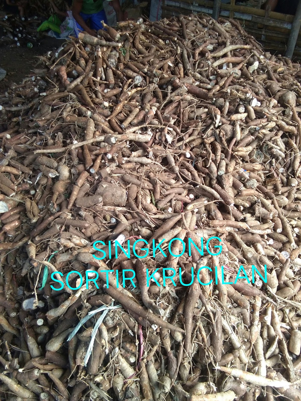 Jual Singkong Sortiran, Bonggol (Pongkol) Singkong & Kulit Singkong ...