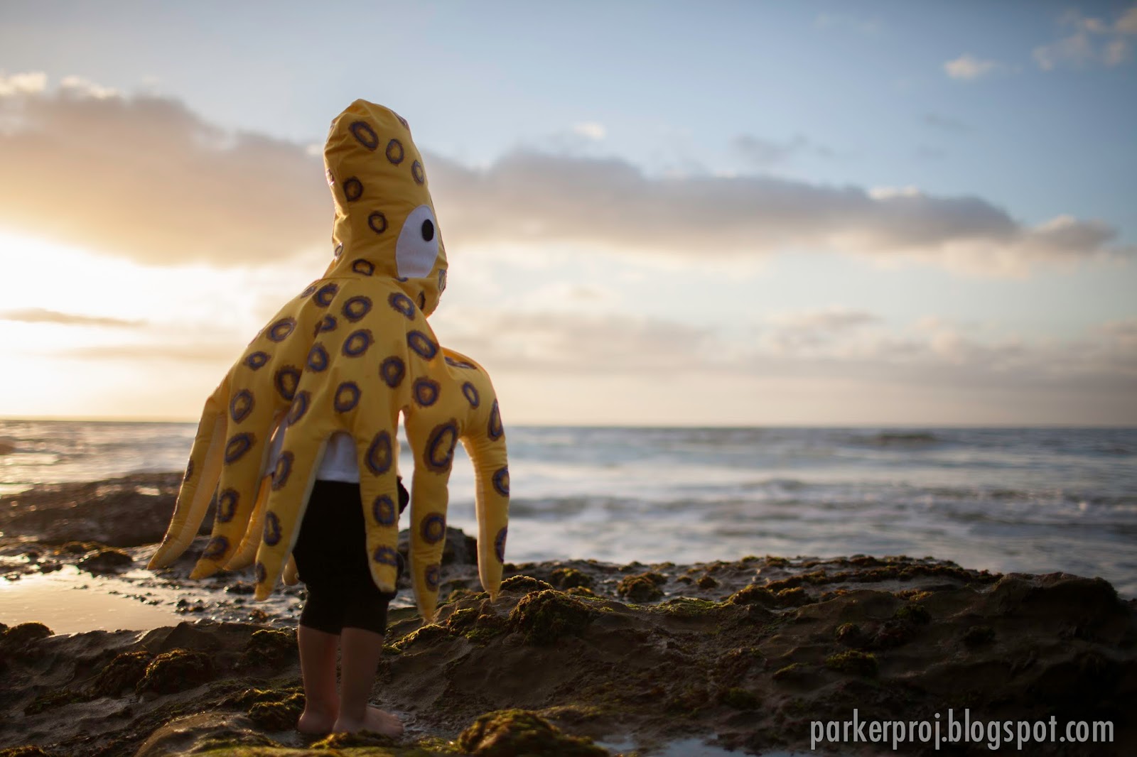 The Parker Project: Epic Octopus Costume Photos and Instructions