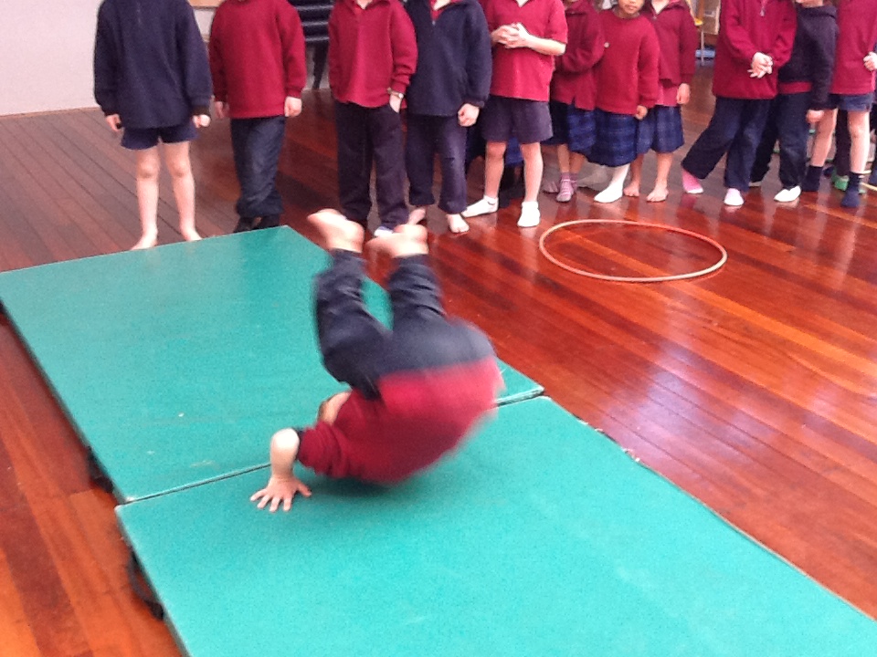 Kanuka Class Blog : Gymnastics
