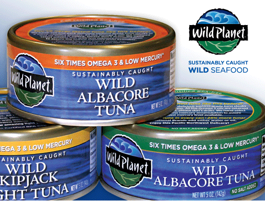 The Best Shark Dive in the World!: Sustainable Tuna?