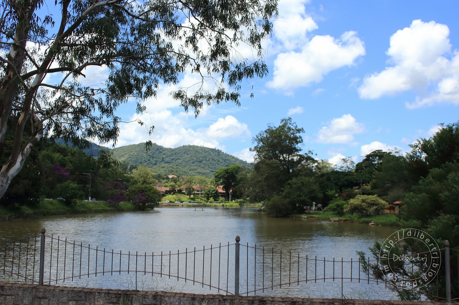 Fotos do Dilbert: Miguel Pereira - RJ