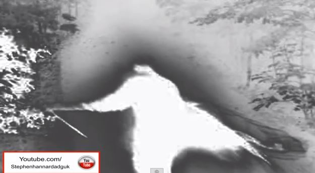 Video: Glowing Angel Or Alien Caught On Trail Camera? | Beyond Science ...