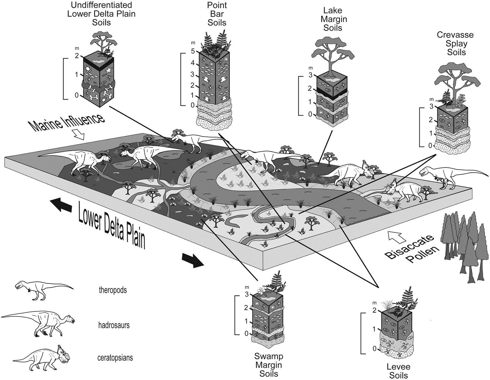 The Dragon's Tales: Habitat Preferences of Polar Dinosaurs in ...